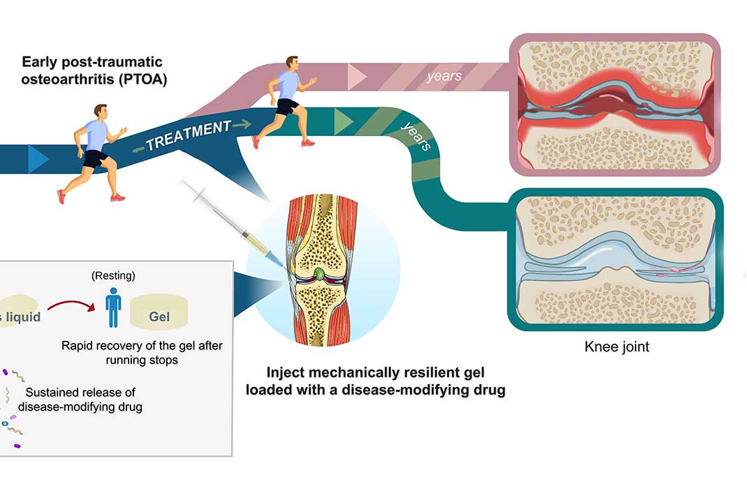 About Us | Mass General Brigham